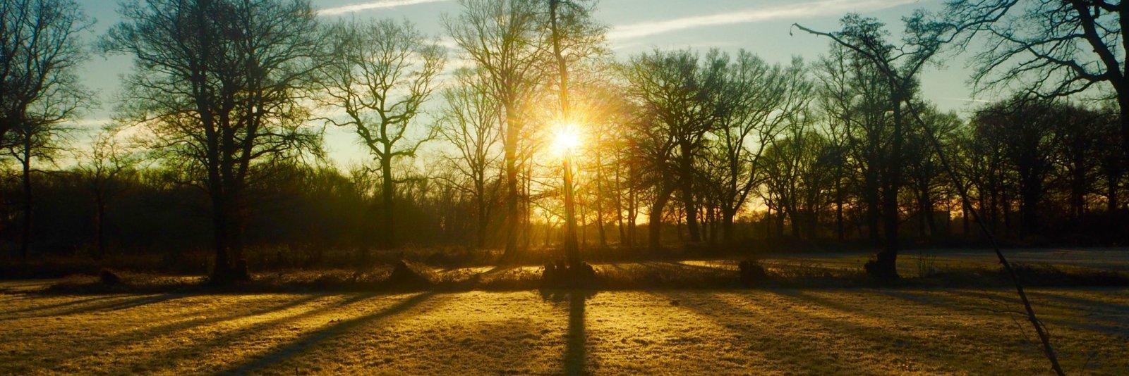 Wissenswertes | Stadt Schenefeld